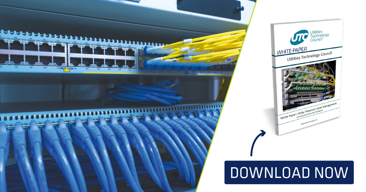 Whitepaper: Utility Telecom Asset Management